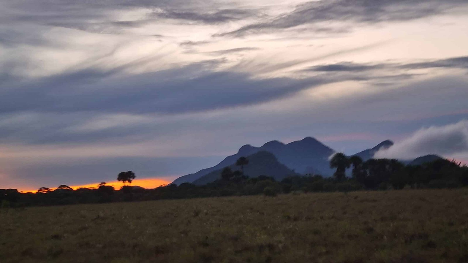 4 X 4 Off-Road Adventure in the Rupununi | The Wildtales Inc.